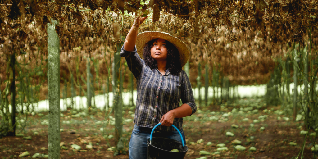 AGROTÓXICOS: UM RISCO A SAÚDE DOS TRABALHADORES RURAIS - Riedel Advocacia